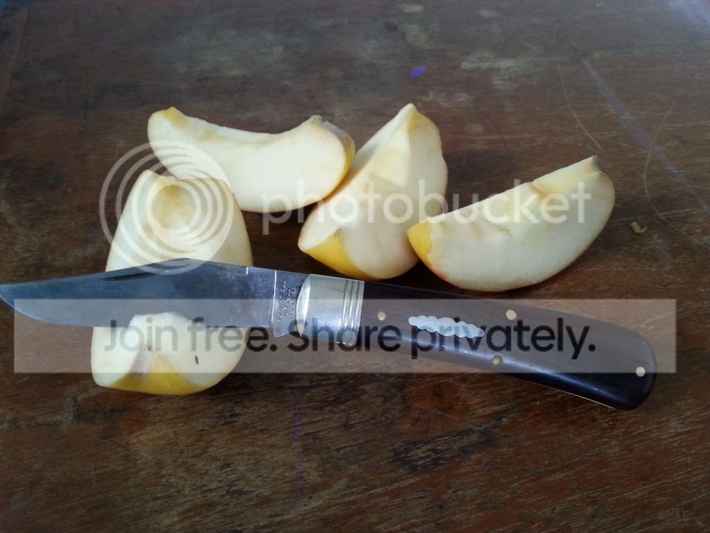 Recommendation? - Classic Apple Knife | Page 2 | BladeForums.com