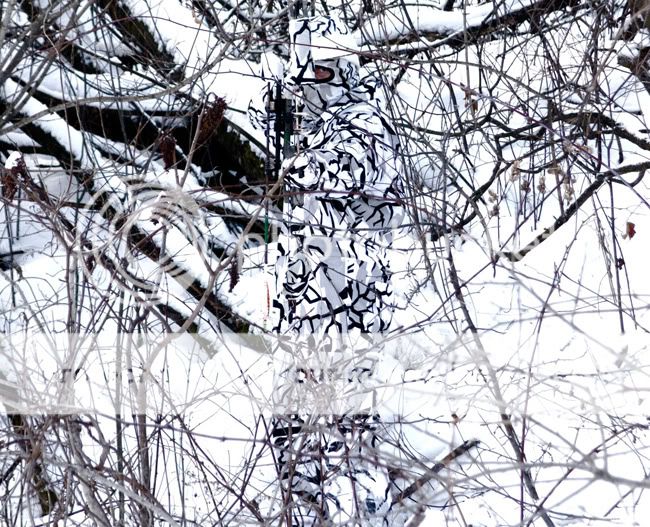 snow camo? - AR15.COM